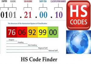 Mã HS Code Là Gì và Hướng Dẫn Cách Tra Mã HS Code Chính Xác - Dịch vụ ...